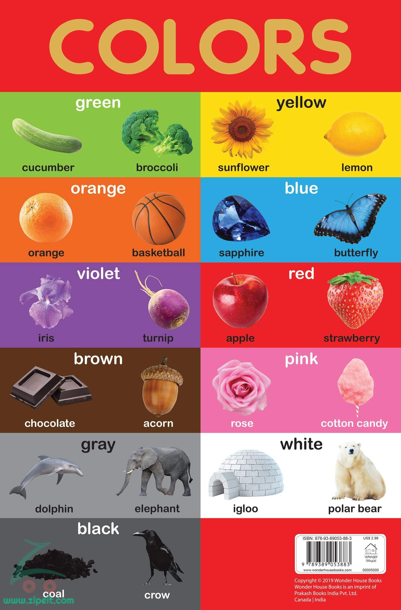 Colors Chart Shop Products Online At Best Price Offers Zipe It Colors Chart Shop Products Online At Best Price Offers Zipe It
