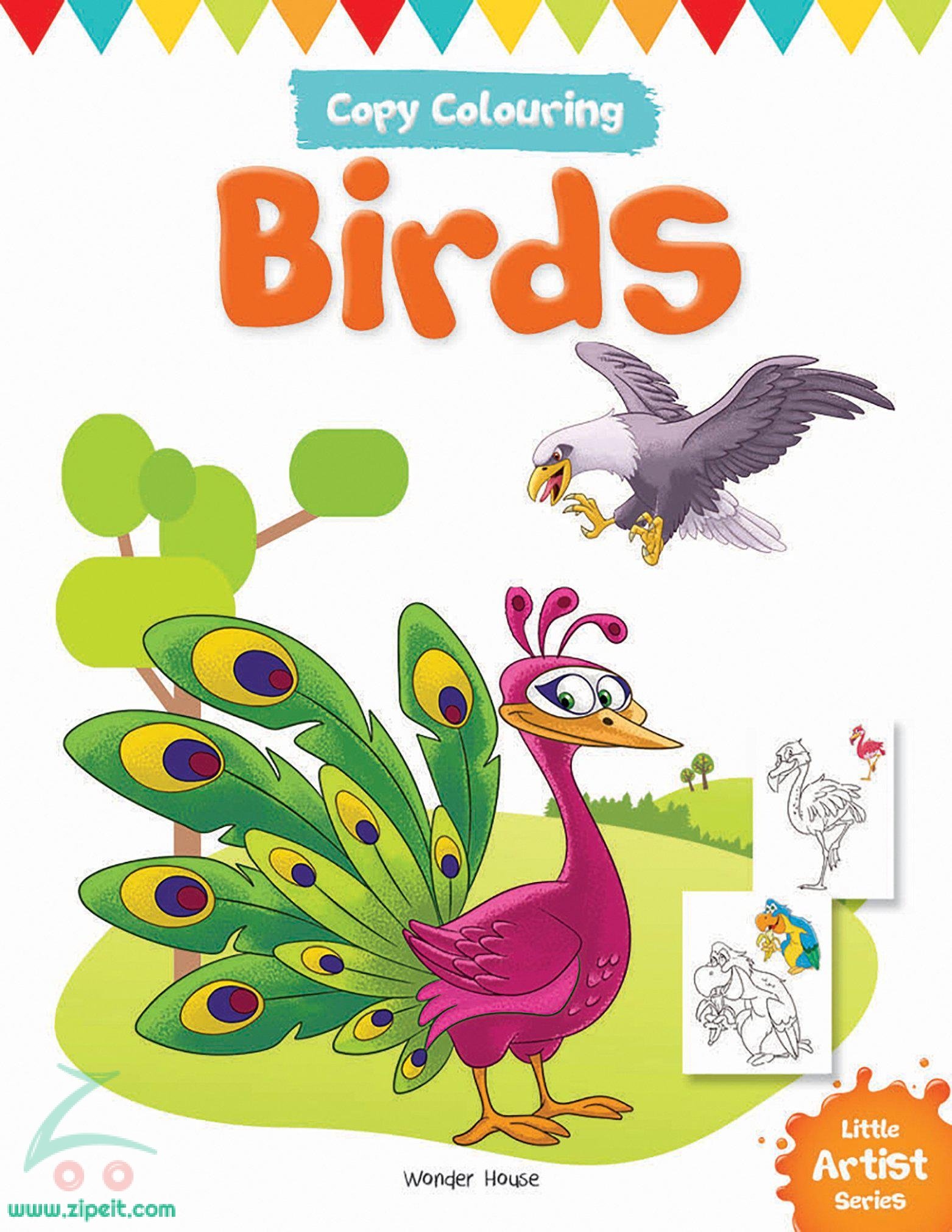 Copy Colouring: Birds | Shop Products Online at Best Price & Offers ...