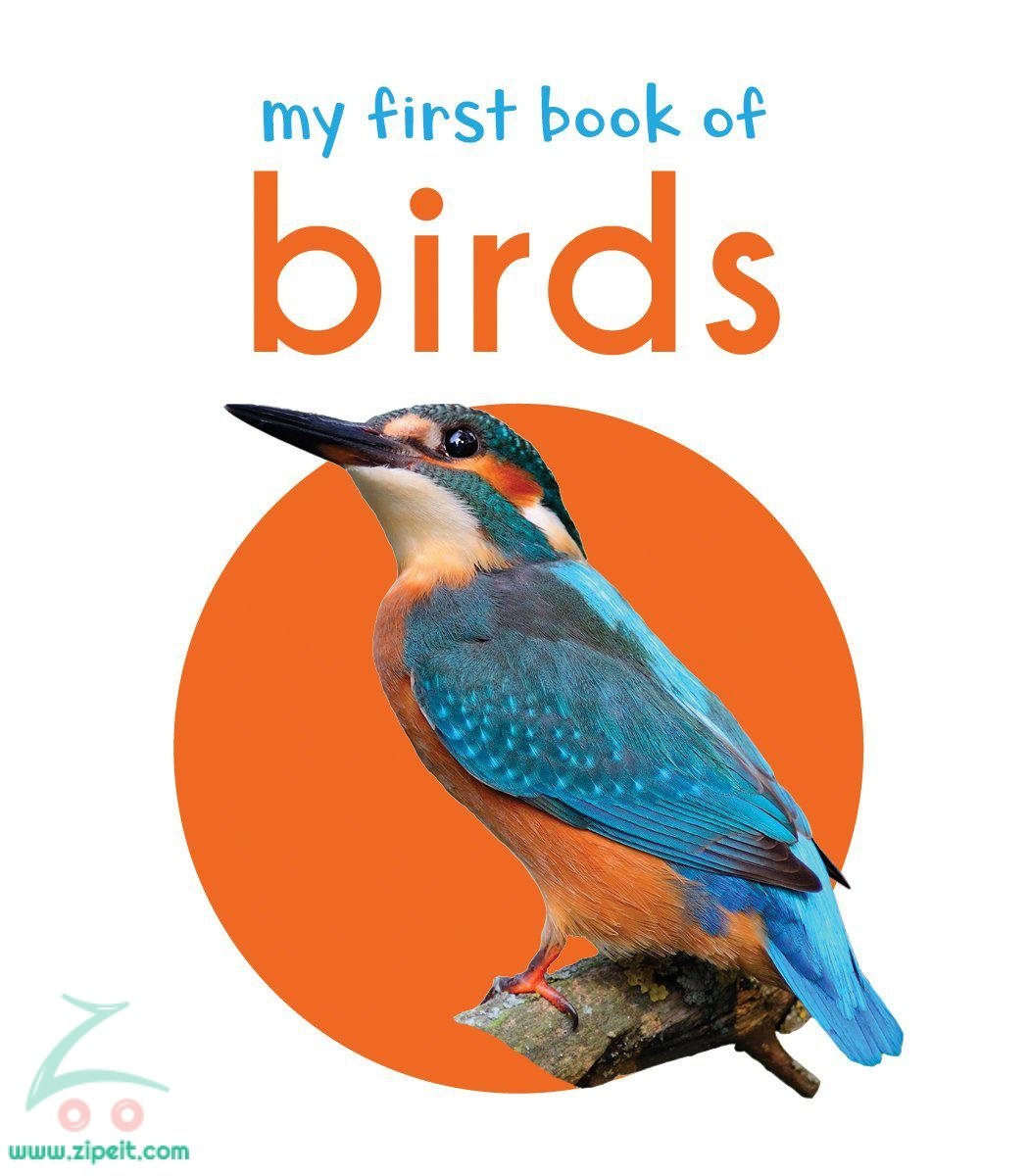 My First Book Of Birds | Shop Products Online at Best Price & Offers ...