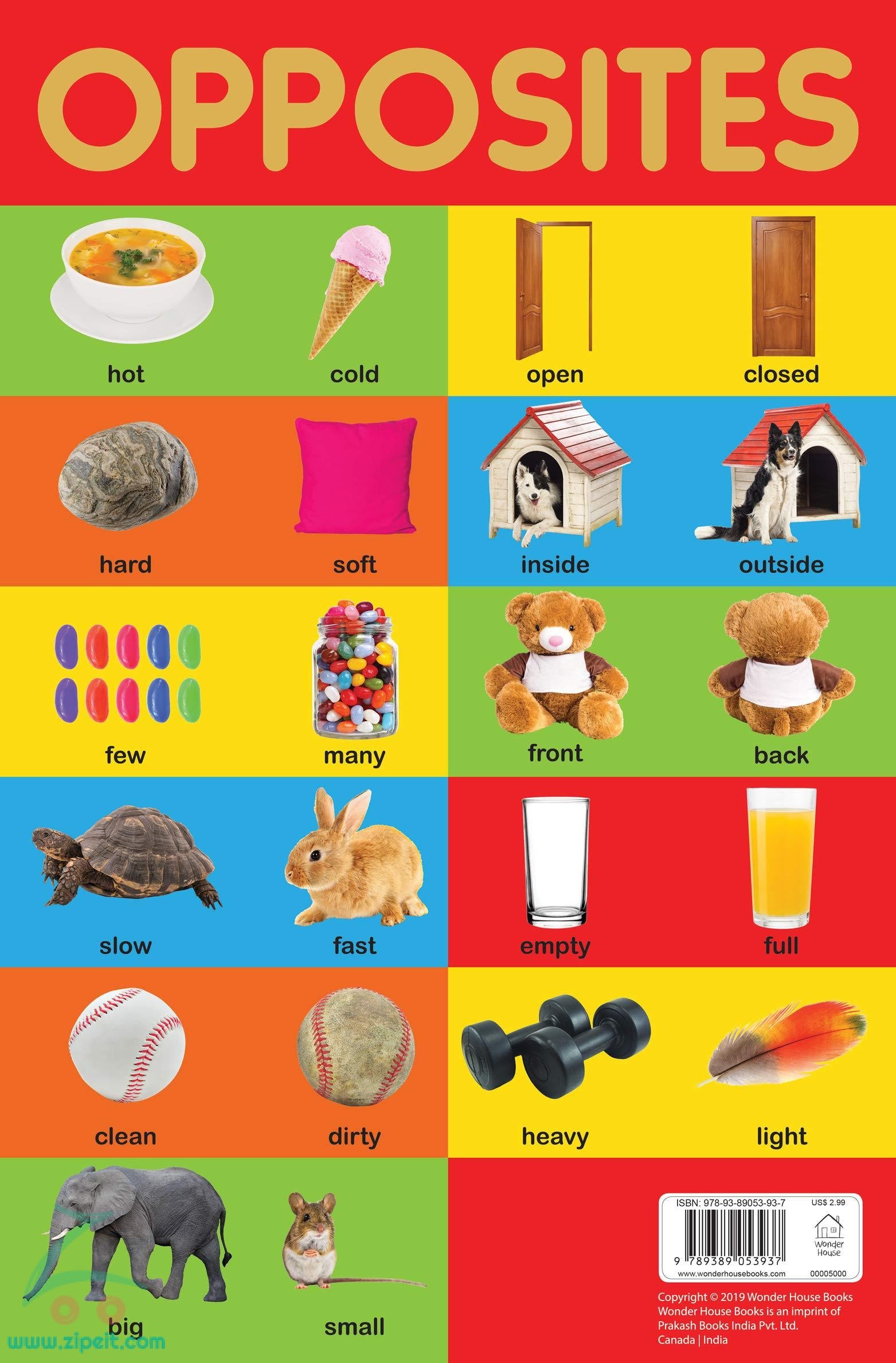 Opposites Chart | Shop Products Online at Best Price & Offers | Zipe it