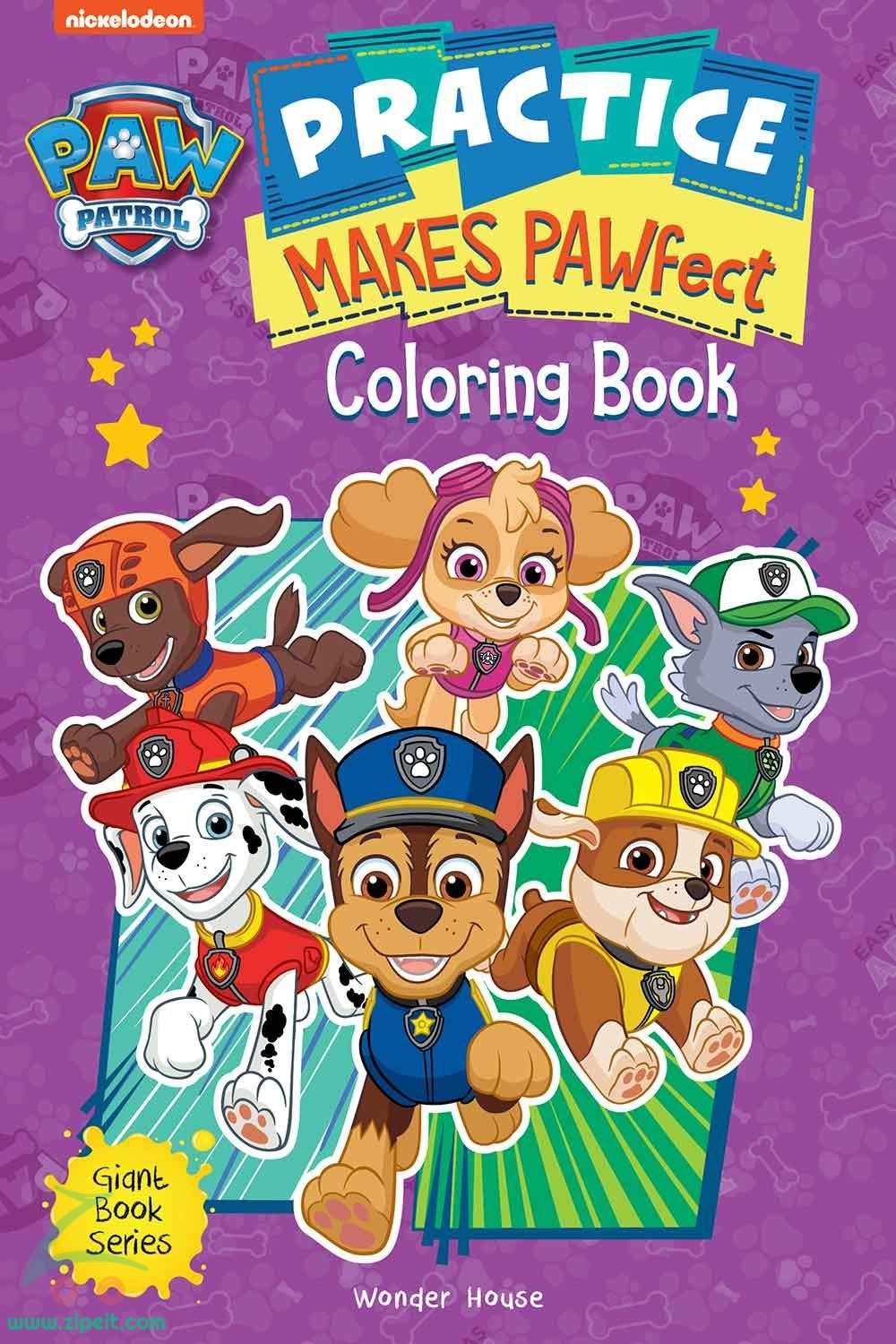Paw Patrol: Practice Makes PAWfect | Shop Products Online at Best Price ...