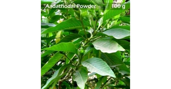 Aadathodai Powder (Annai Aravindh Herbals) - 100g | Shop Products ...