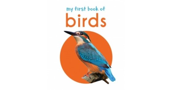 My First Book Of Birds | Shop Products Online at Best Price & Offers ...