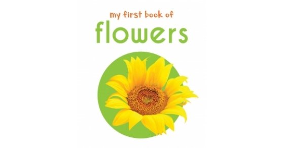 My First Book Of Flowers | Shop Products Online at Best Price & Offers ...
