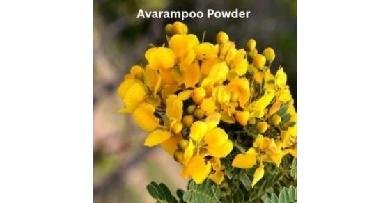 Zippy - Avaram Flower Powder / Telopotakam - 100g | Shop Products ...